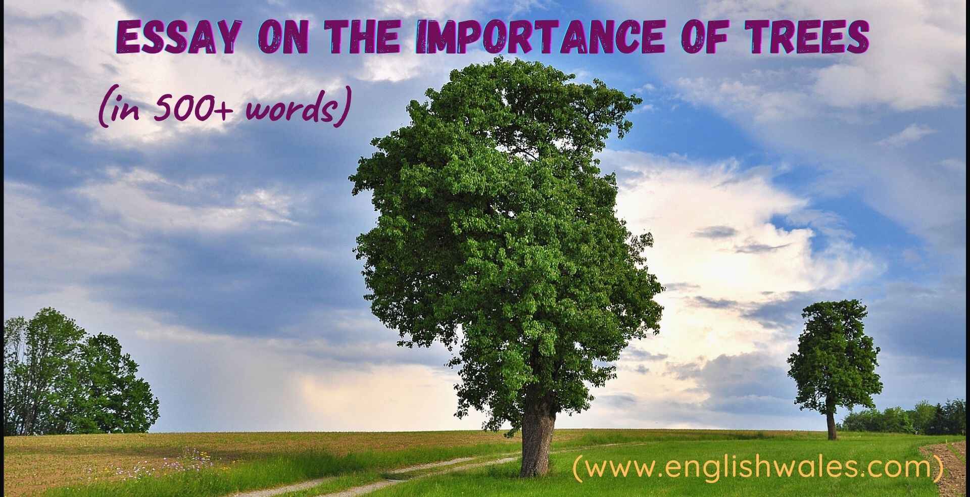 Essay on the Importance of Trees - englishwales.com