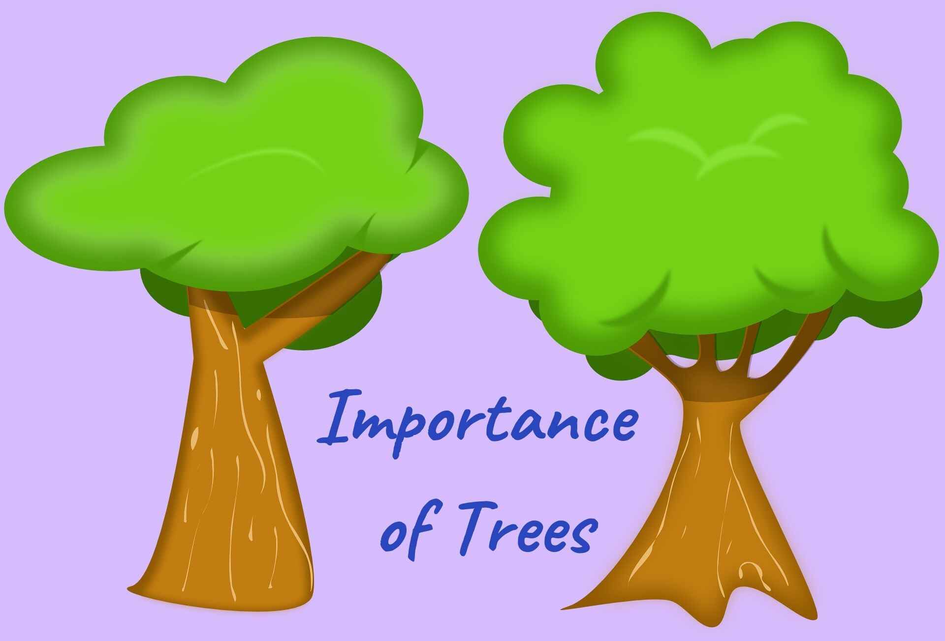 Importance of Trees - englishwales.com